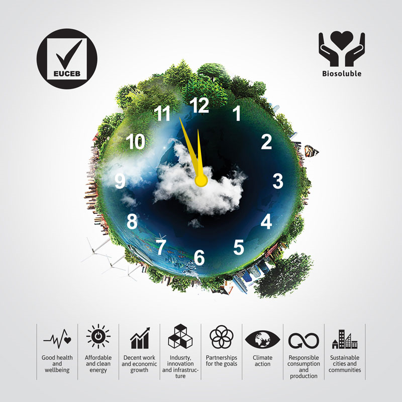 Izocam - Advanced Roof, Wall and Floor Insulation Solutions